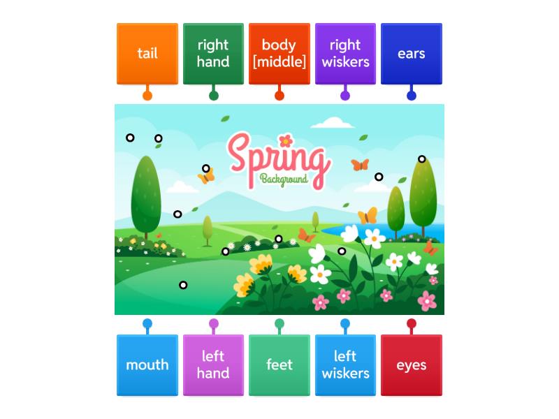 Spring Scenery - Labelled diagram