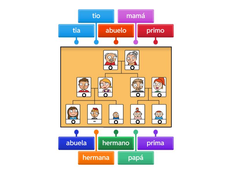 FAMILY TREE. Arbol de la familia - Labelled diagram