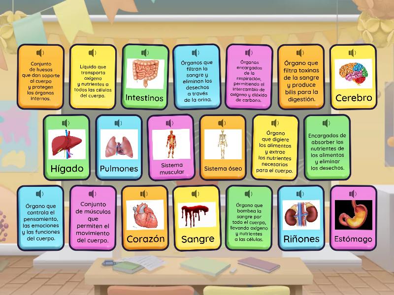 Memorama: Cuerpo humano - Flip tiles