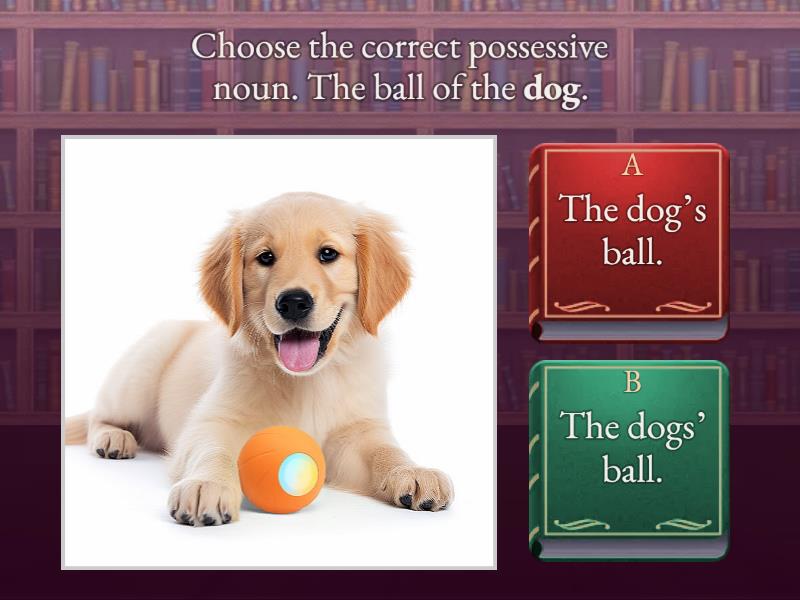 Possessive Nouns Game - Quiz