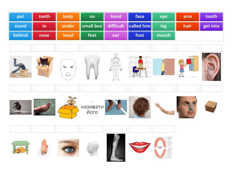 Prepare 1 Unit 5 Reading Match - Match up