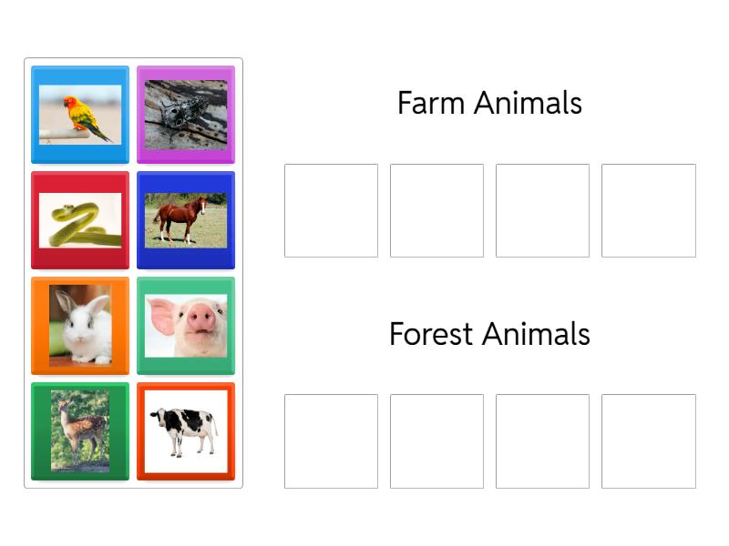 Farm or Forest? - Ordenar por grupo