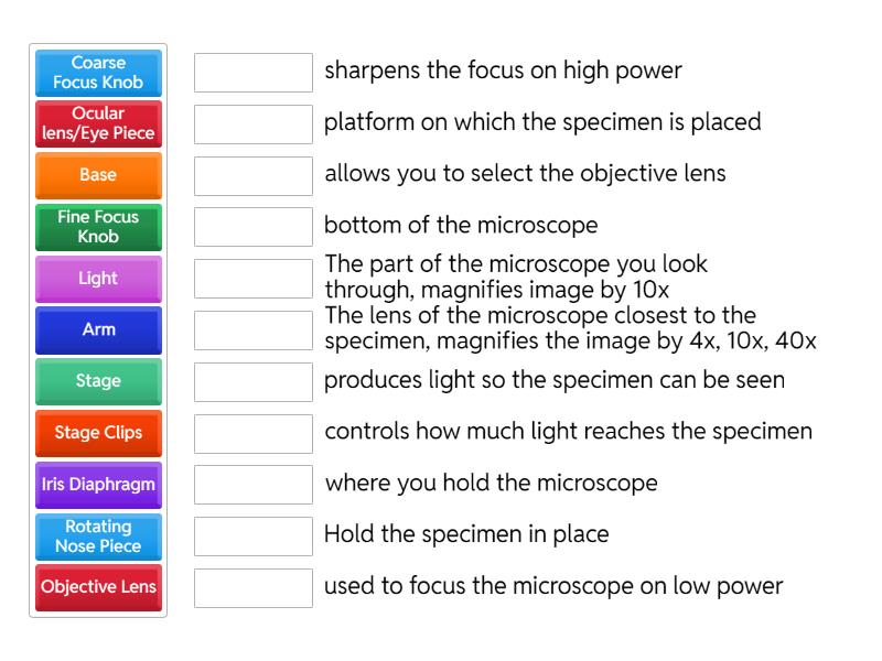 Microscope Parts Function - Match up