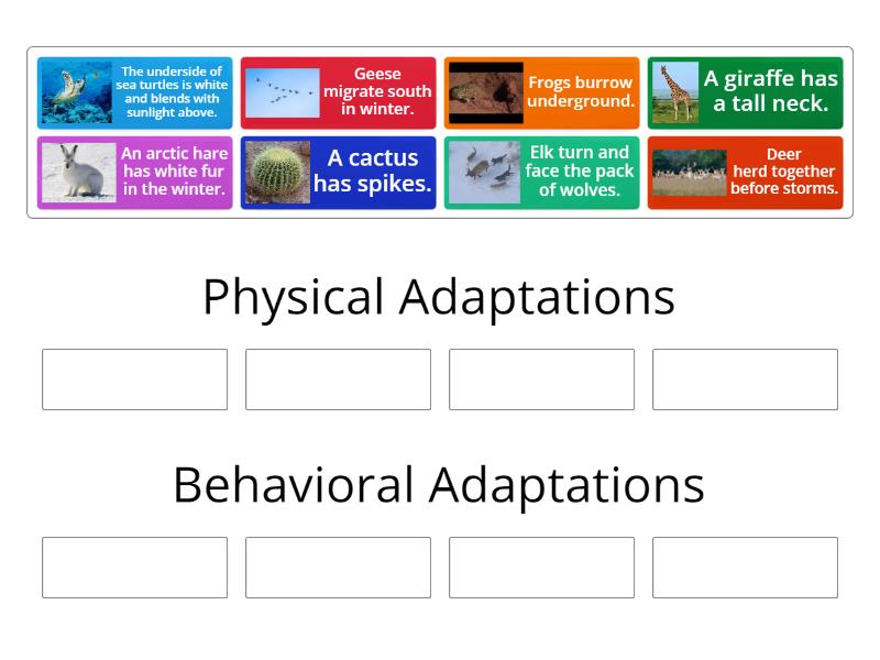 Adaptations (biomes) - Group sort