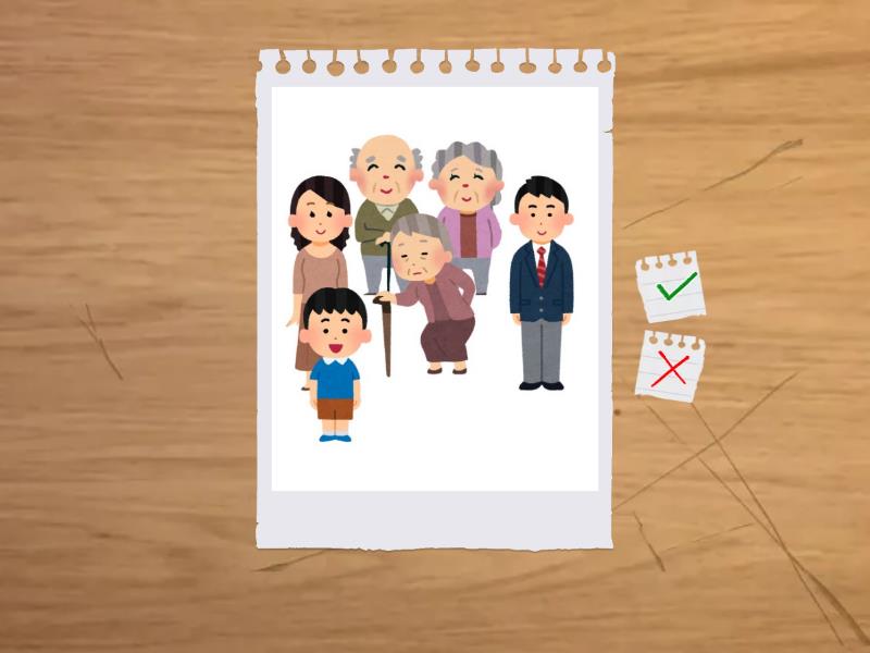 Voici ma famille - Flash cards