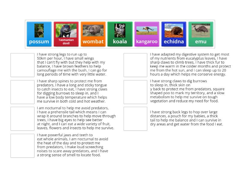 Australian Animals Adaptations - Match up