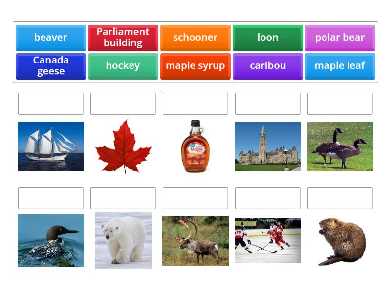 Symbols of Canada - Match up