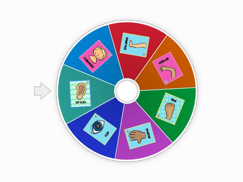 Conozco las partes de mi cuerpo - Rueda aleatoria