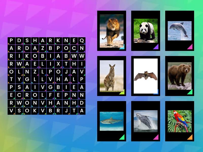 Kid's Box 3 Unit 7 Animals - Wordsearch