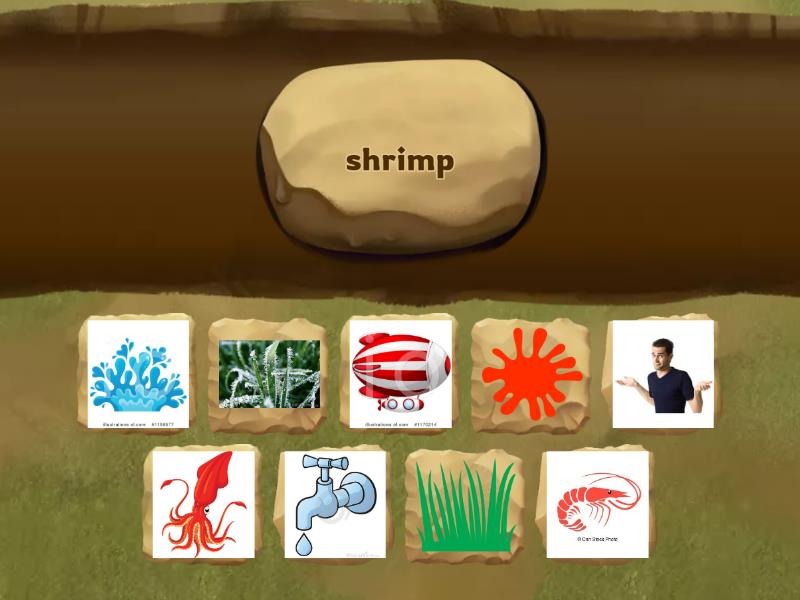 blends - Find the match