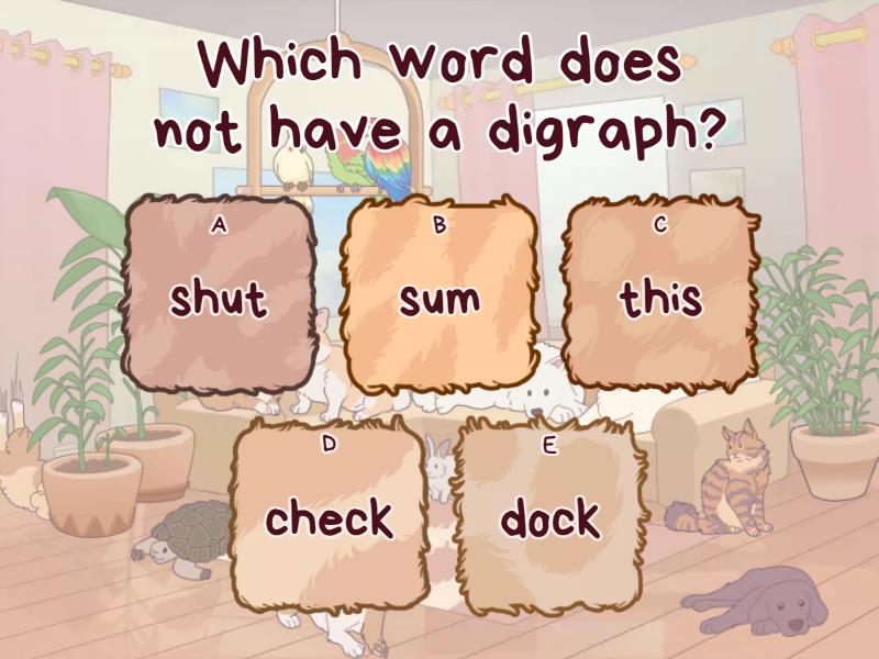 WRS 1.3 Digraph - Quiz
