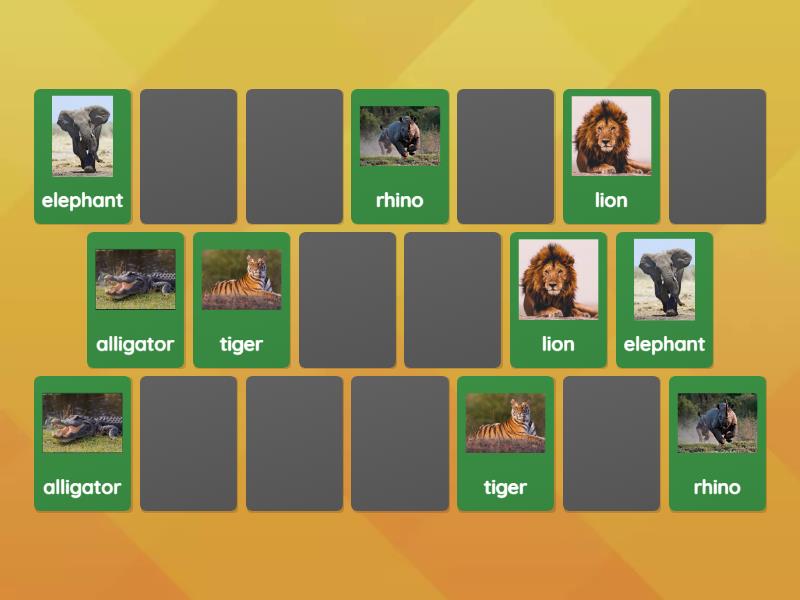Zoo animals - Matching pairs