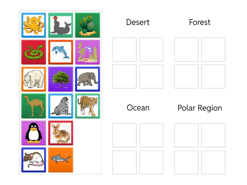 Sorting Animals - Group sort