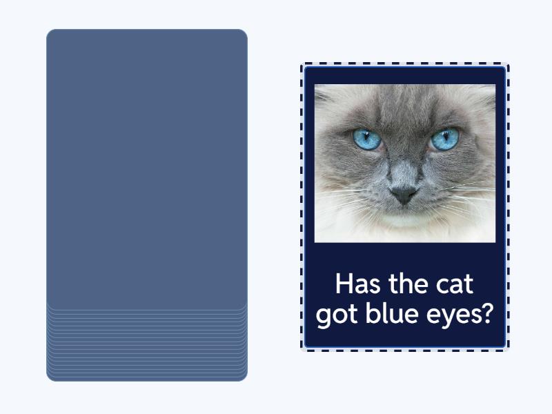 Have got - Has got - - Speaking cards