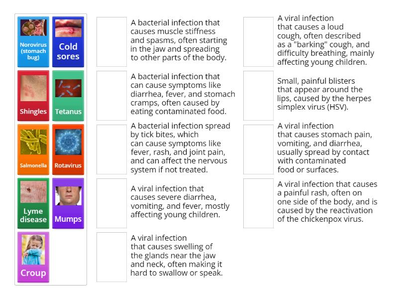 Infectious diseases - Match up