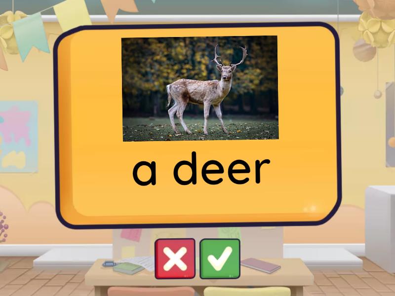 Irregular plurals - Flash cards