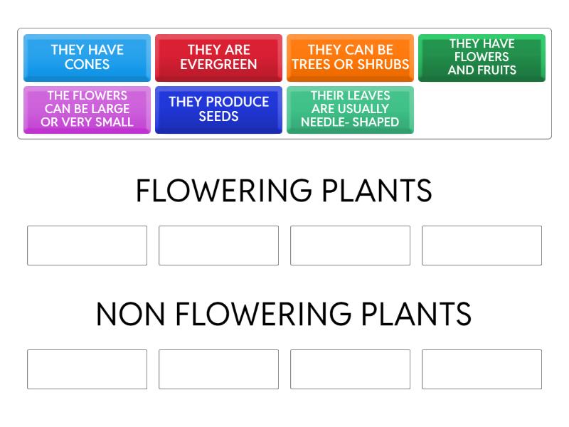 FLOWERING AND NON FLOWERING PLANTS - Group sort