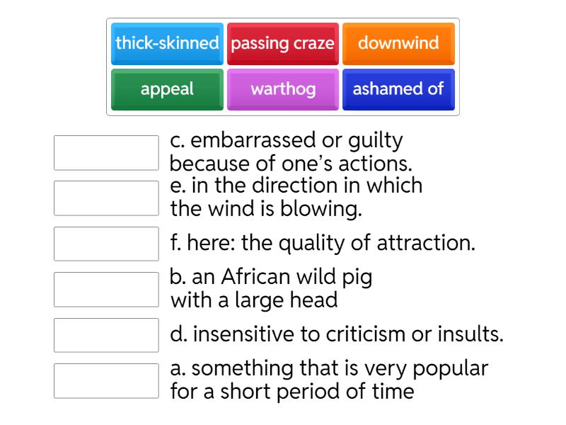 LION KING VOCAB - Match up