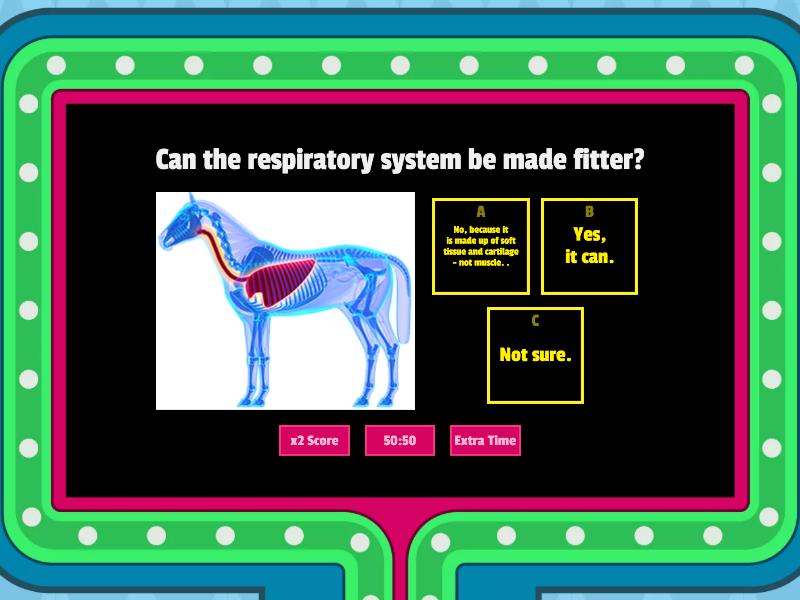 The Equine Respiratory System - Gameshow quiz