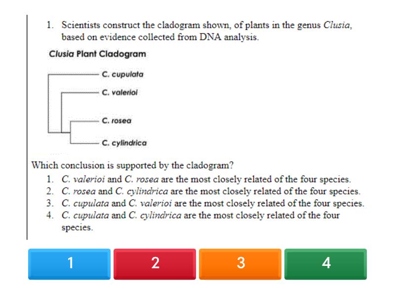 Phylogenetic Trees and Cladograms - Quiz