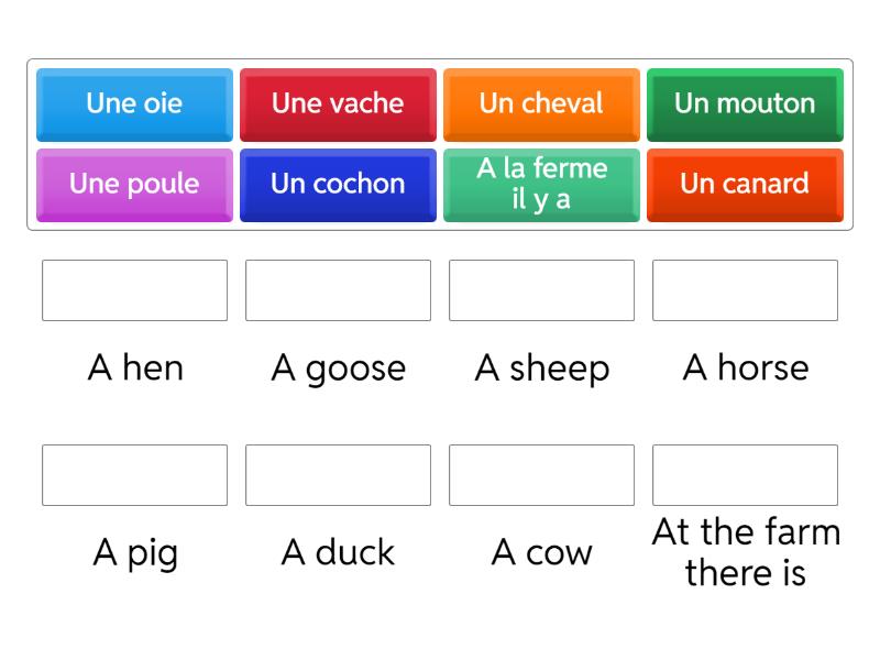 Farm Animals French - Match up