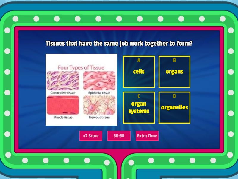 Cells-tissues-organs-organ systems! - Gameshow quiz