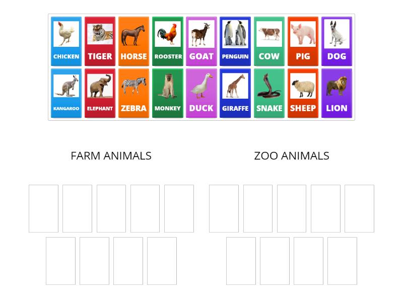 Farm Animals vs Zoo Animals - Group sort