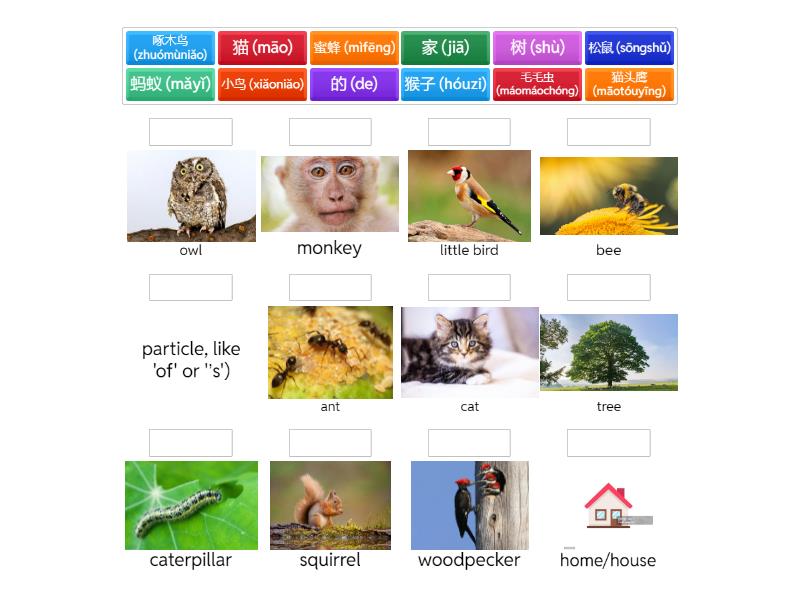 Gr 2 Unit 6 New words - Match up