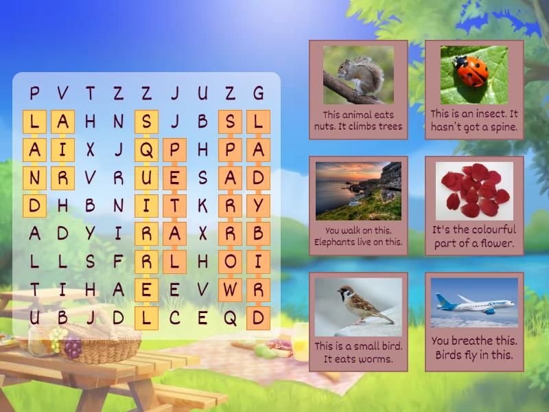 AS4 U8 Reading words () - Wordsearch