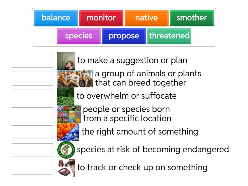 Invasive Species Week 2 - Match up