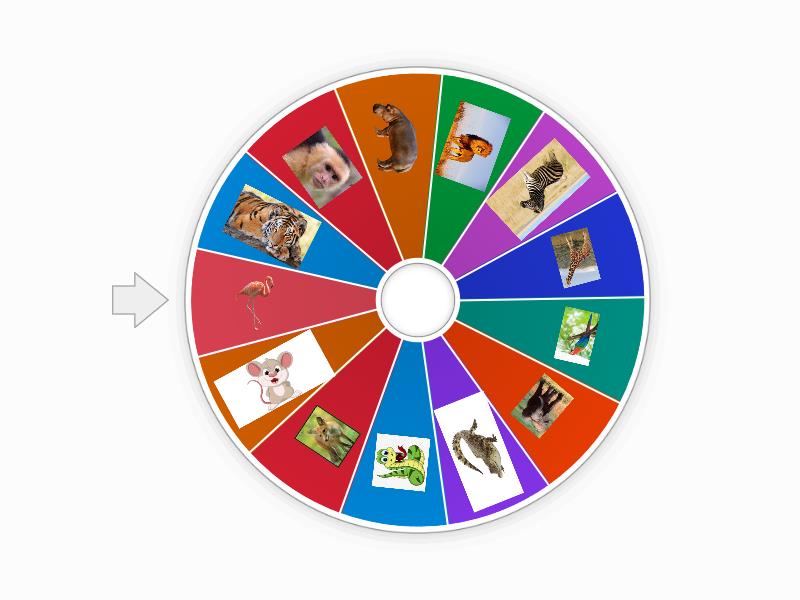 Animals - Spin the wheel