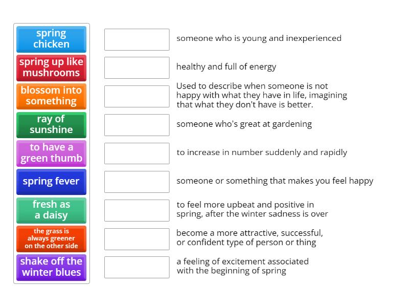 Spring Idioms - Match up