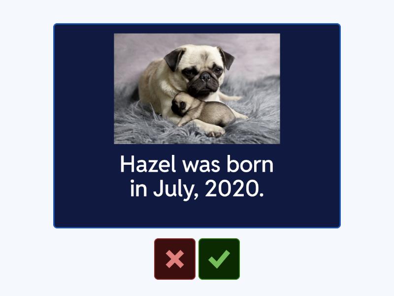 Hazel's "The Answer Is..." (practice making 5WH questions) - with ...