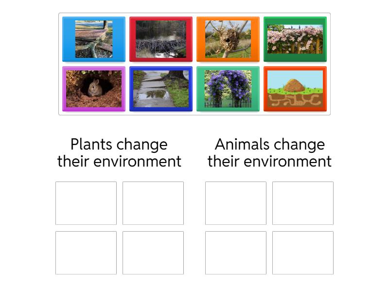 1D2 - Revision: Plants and Animals change their environment - Group sort