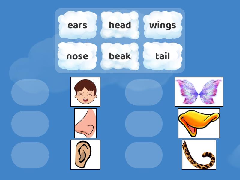 beehive 1 unit 5 lesson 3 - Сопоставить