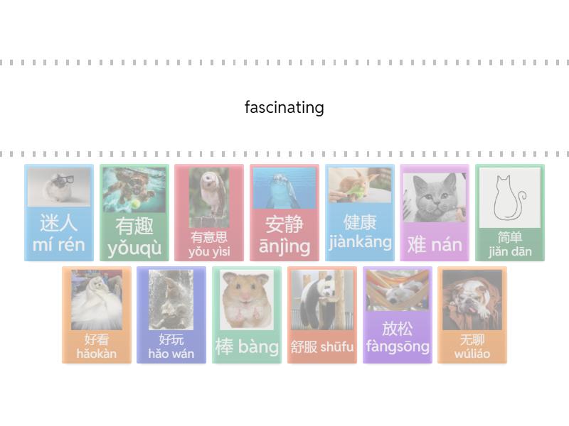 Mandarin ENG-CHN adjectives for Hobbies - Find the match