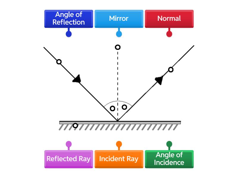 Reflection Diagram - Labelled diagram