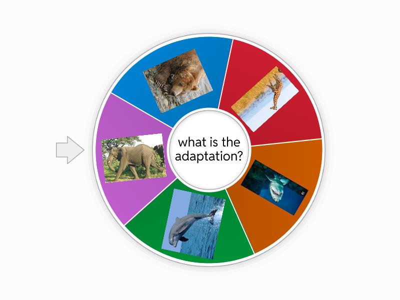 science - Spin the wheel