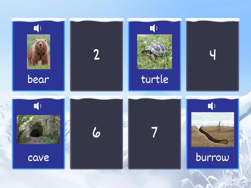 Hibernating Animals - Matching pairs