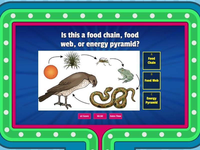 Food Chains, Food Webs, and Food Pyramids - Gameshow quiz