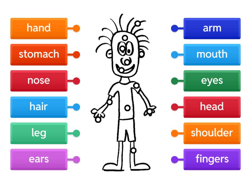 Unit 4 Body parts - labeling 12 parts - Labelled diagram