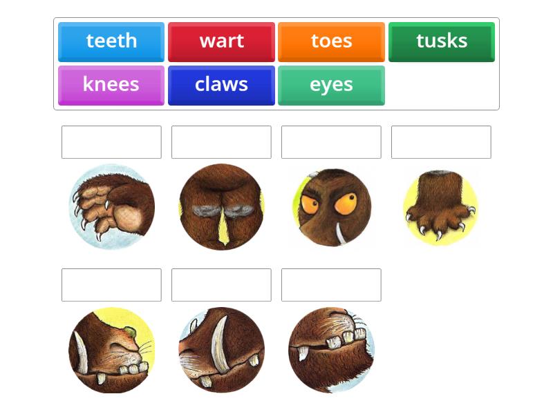 gruffalo parts - Match up