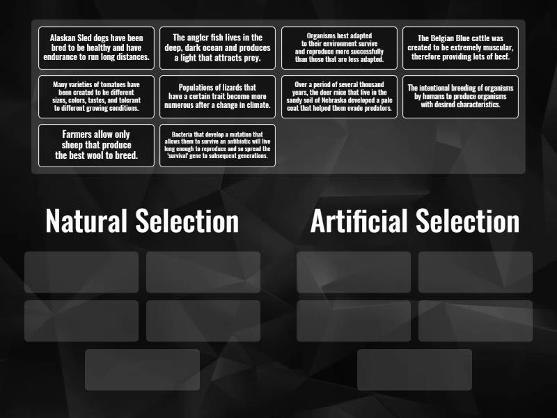 Natural vs. Artificial selection - Group sort