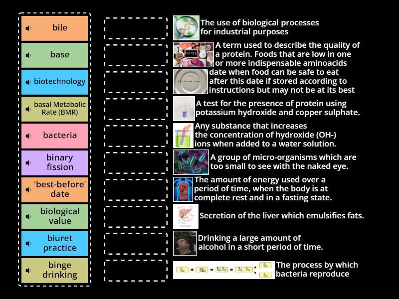 Ale's Nutrition Glossary 2 - Morpheme Academy - Match up