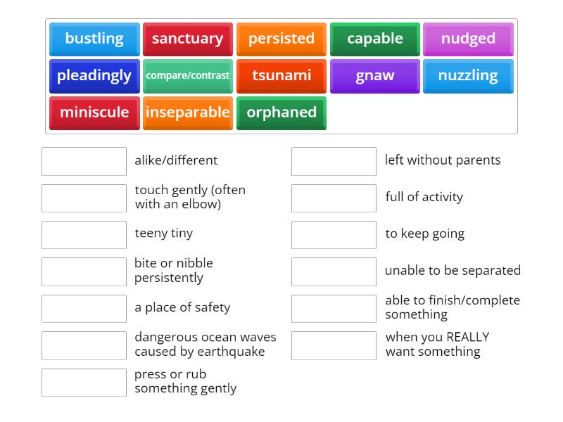 Owen and Mzee Vocabulary - Match up