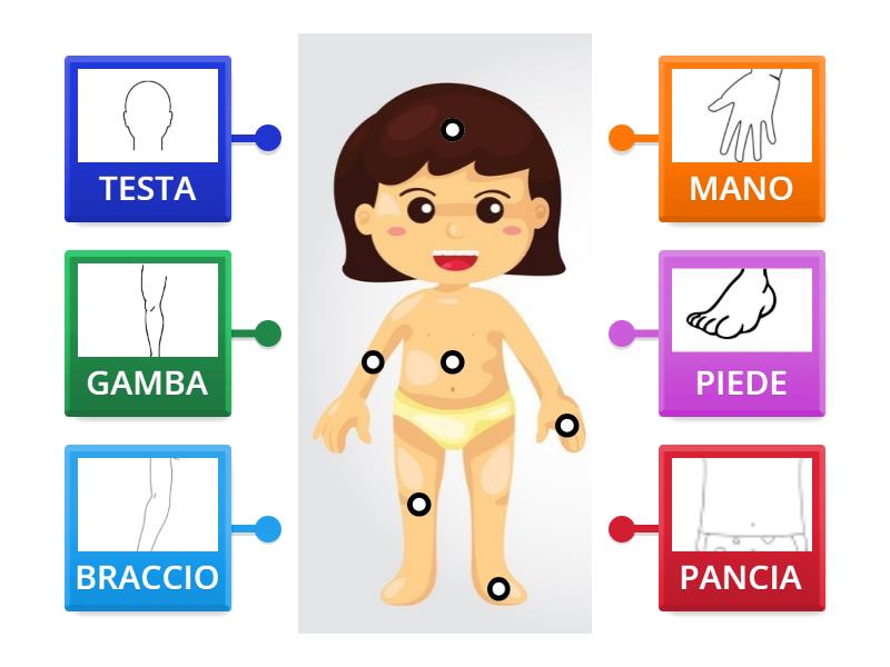 IL CORPO - le parti del corpo - Labelled diagram