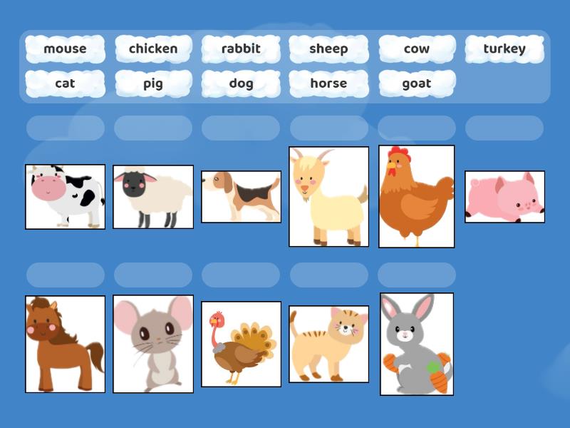 Animals - Match up