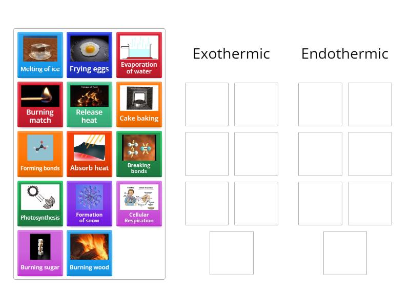 Exothermic and Endothermic Reactions - Group sort