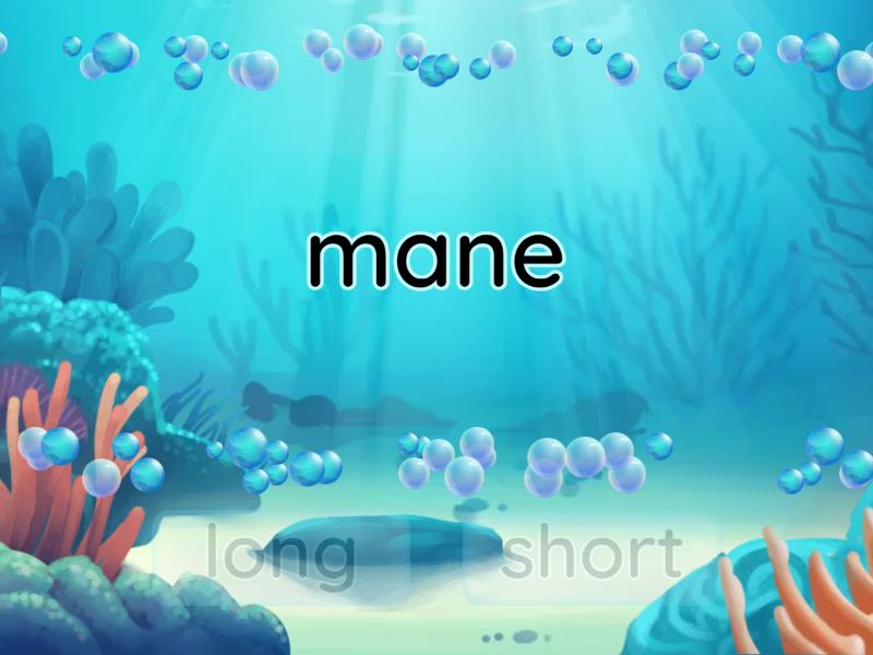 Long or Short Vowels - True or false