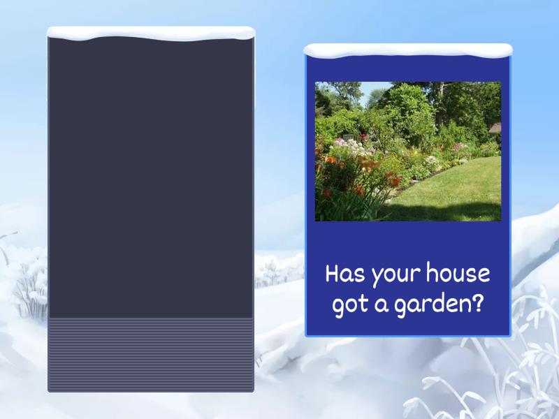 Have/Has got - - Speaking cards